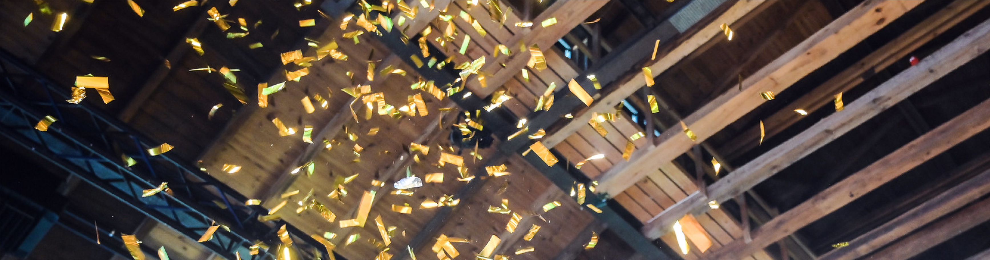 Umbraco 12.3 release