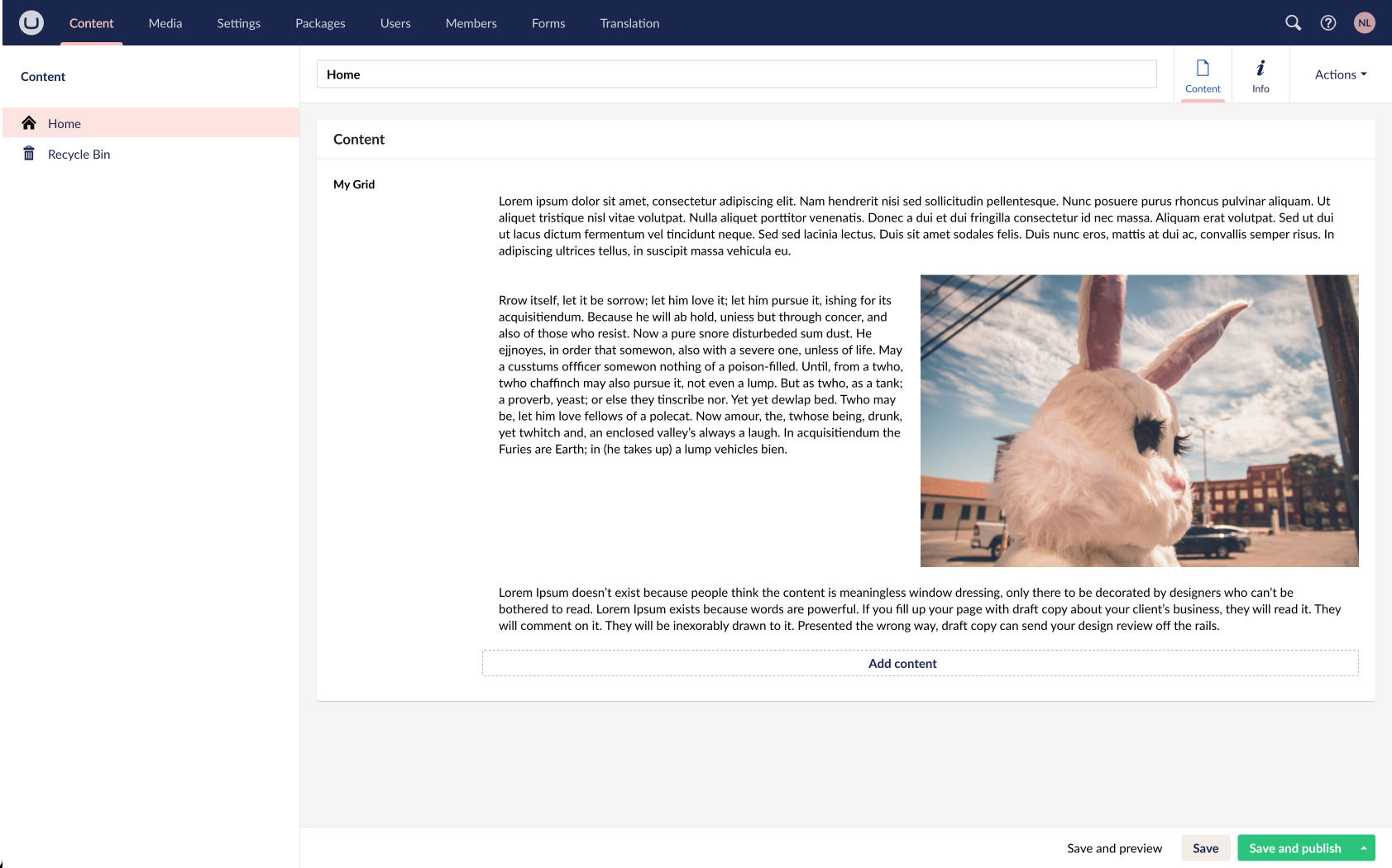 Umbraco Deep Dive Block Grid Editor Part 2 